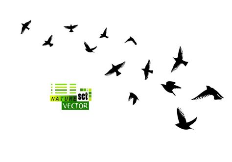 Birds Flock Tattoo Vector Images Over 570