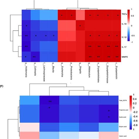 The Functional Prediction Of Gut Microbiota Based On Kegg And Cog