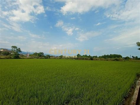 農地cc433員山老農地宜蘭縣員山鄉新洲子段 樂屋網 土地買賣