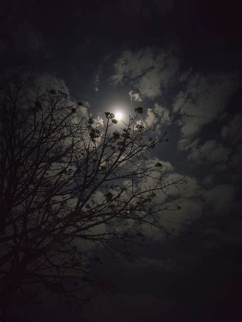 Top 999 Night Moon Images Amazing Collection Night Moon Images Full 4k