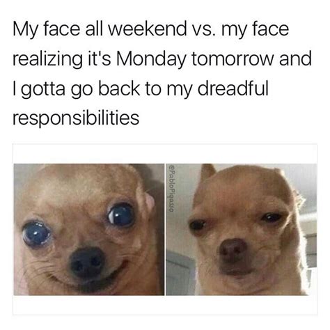When You Wake Up To Zero Missed Calls Zero Good Morning Texts And Zero