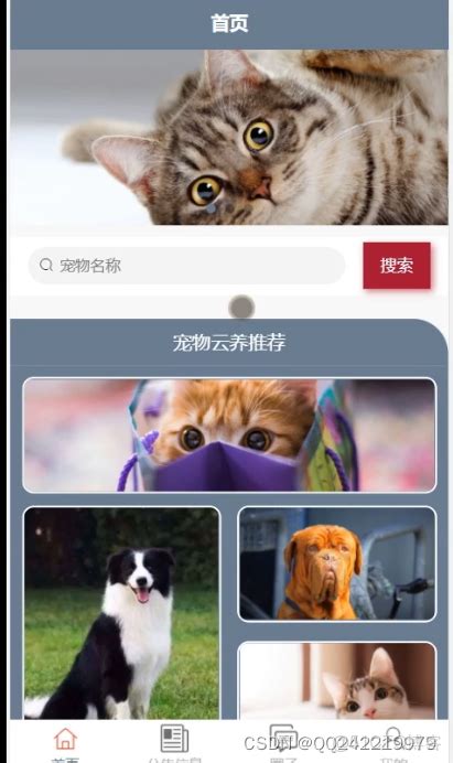基于spring Boot的宠物领养系统 宠物领养软件mob64ca140d61c6的技术博客51cto博客