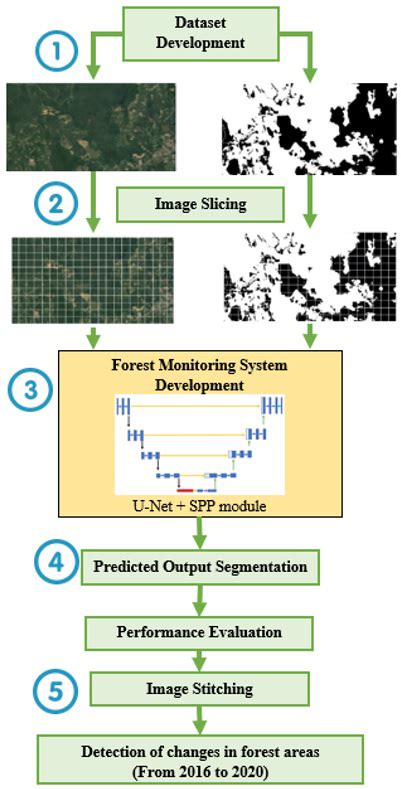 workflow of the proposed automatic forest monitoring system development