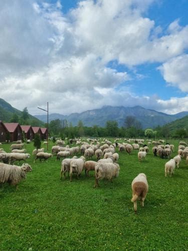 Ethno Katun Rossi Agrotourism Vusanje Updated Prices 2024