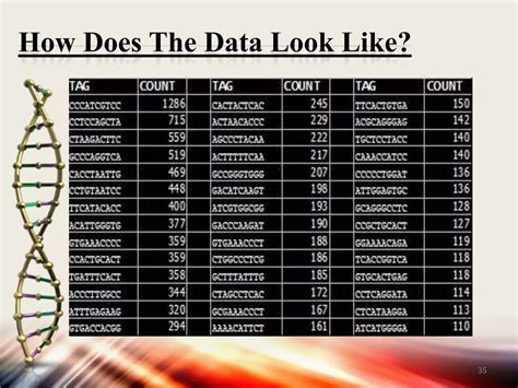 Sage Serial Analysis Of Gene Expression Ppt