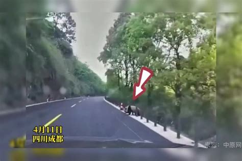 大哥上班路上偶遇大熊猫，激动掉头想再看一眼