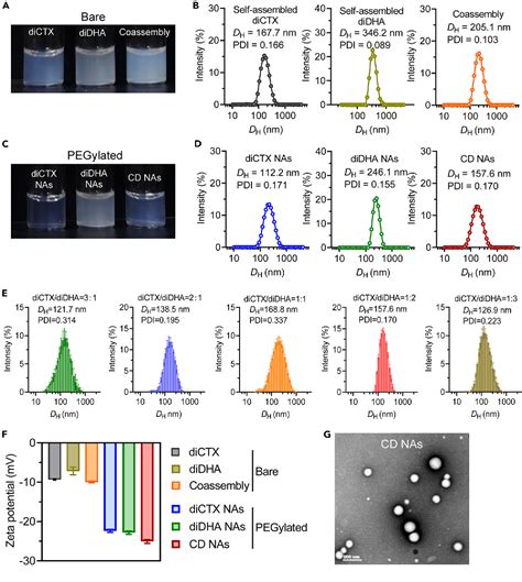 Figure 2 From Dynamic Nanoassemblies Derived From Small Molecule