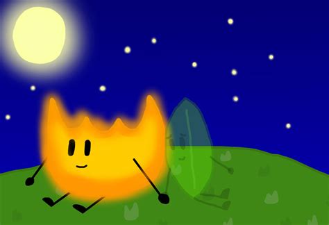 Firey And Leafy By Xxshinyleafxx On Deviantart