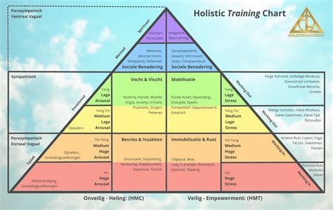 Opleiding Holistic Movement Trainer