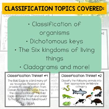 Classification Taxonomy Inquiry Task Cards TPT