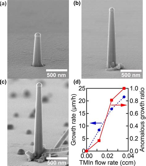 Position Controlled Inp Nanowires With 10 100 μm Pitches Using Au Deposited Sio2 Inp Patterned