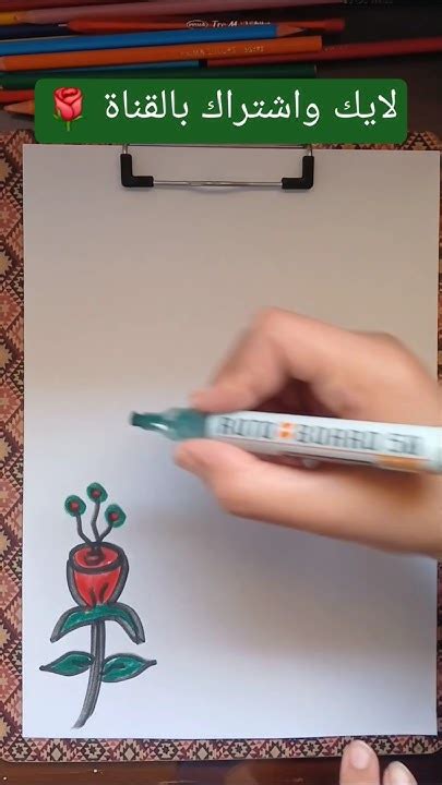 تزيين دفاتر كيوت ورد♥️رسم سهلرسم كيوترسمdrawing Art تعليم اكسبلور Shorts رسمسهل
