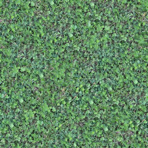 Seamless Grass Texture Photos Download The Best Free Seamless Grass