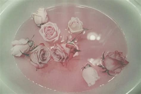 توی سال جدید گلو اپ کن تستچی