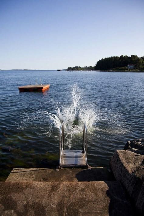 Pin Van Celste Amadon Op Vision Summer 2022