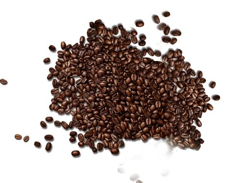 Java Development Services Company Java J2EE Developer
