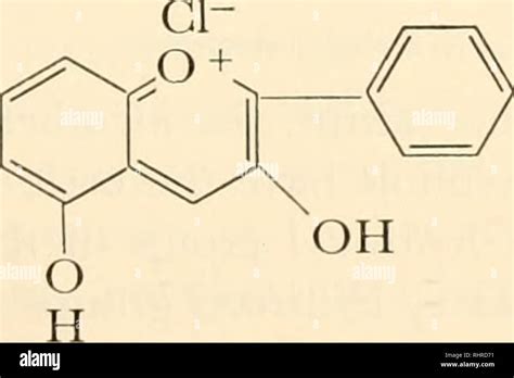Phenyl Group