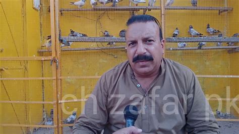 کبوتر بازی کے سپر سٹار استادوں کے تجربے اور قیمتی نخسے Youtube