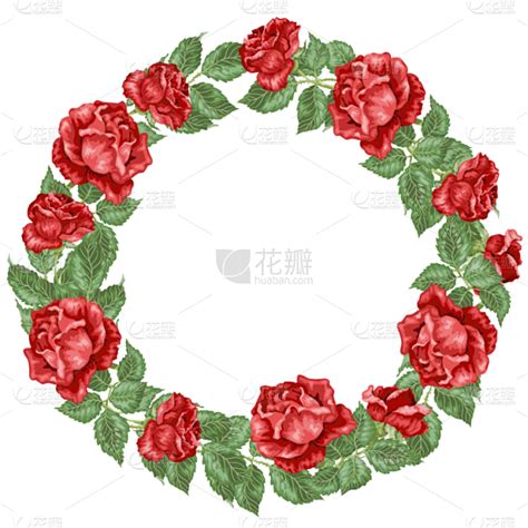 玫瑰矢量绘画插图花环自然请柬红色花装饰