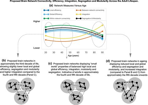 Brain Modularity