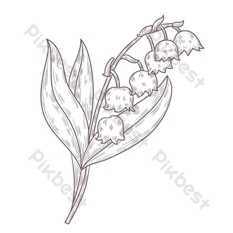 Học Cách Vẽ Hoa đồ Của Hoa Ly Nghệ Thuật Thủ Công Or Prethiết Kế