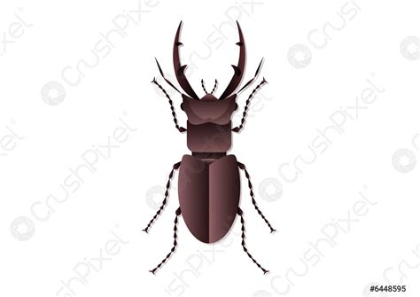 Giant Stag Beetle Vector Art Isolated On White Background Stock