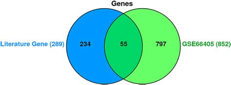 Common Genes Between Literature Genes And Gse Analysis Gene Showing 55