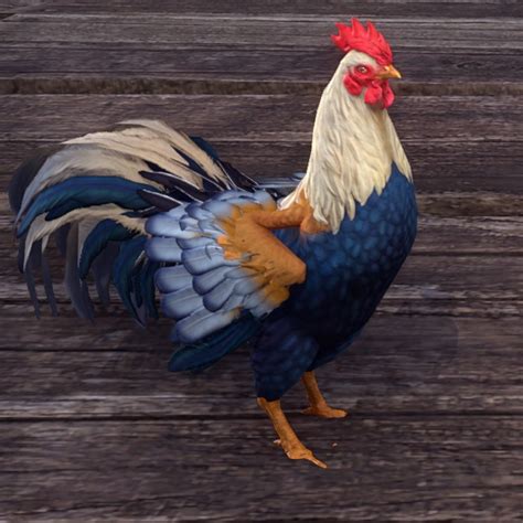 Onlinealcaire Blue Cockeral Uesp Wiki The Unofficial Elder Scrolls Pages