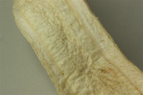 Platycodon Root