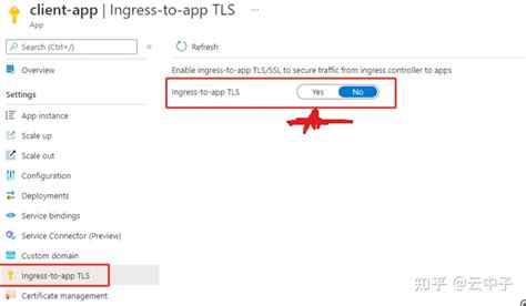 Azure Spring AppsSpring App部署上云遇见 Bad Gateway nginx 知乎