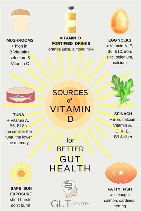 Sources Of Vitamin D For Gut Health Vitamins Vitamin D Diet And