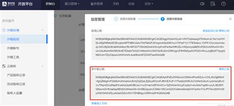 Springbootalipay支付宝支付对接教程沙箱环境阿里支付沙箱环境 Csdn博客