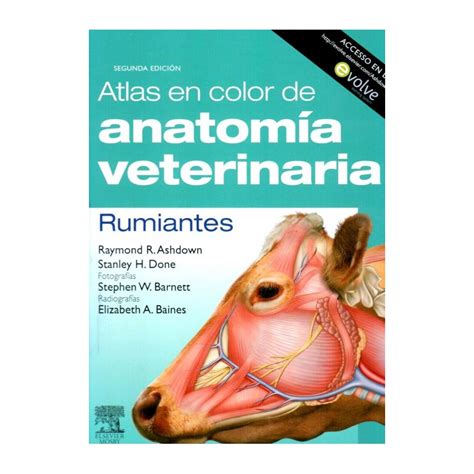 Atlas en color de anatomía veterinaria Rumiantes