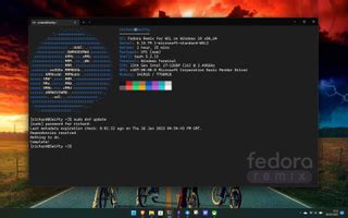 The Best Linux Distros To Use On Wsl Windows Central
