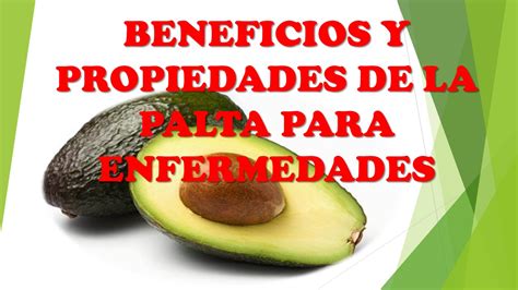 Beneficios De La Palta Entra Y Enterate