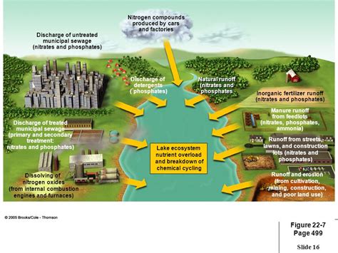 Examples Bacteria Viruses Protozoa And Parasitic Worms Ppt Video