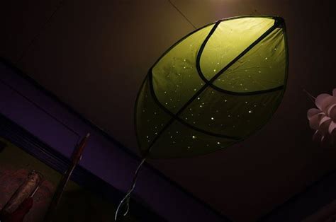 giant leaf planetarium