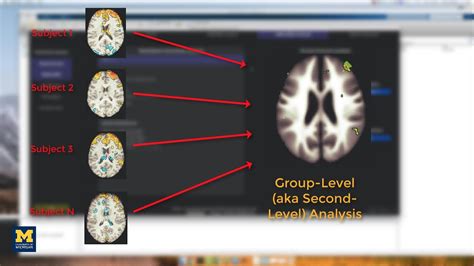 Conn Tutorial 9 Group Level Analysis Youtube