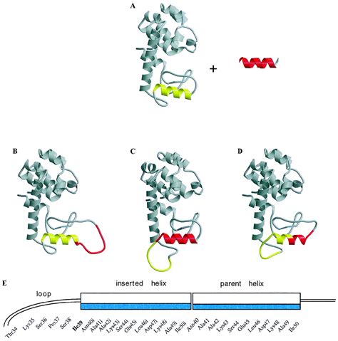 Structural Characterization Of An Engineered Tandem Repeat Contrasts The Importance Of Context