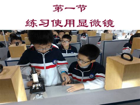 2022 2022年七年级生物上册 第二单元 第一章 第1节练习使用显微镜课件 新版新人教版word文档在线阅读与下载无忧文档
