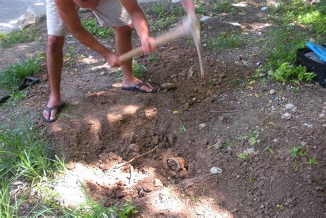 How To Test Your Garden Soil