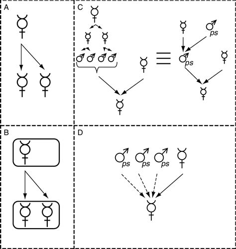 four primary methods of accounting for multiple matings in blup model