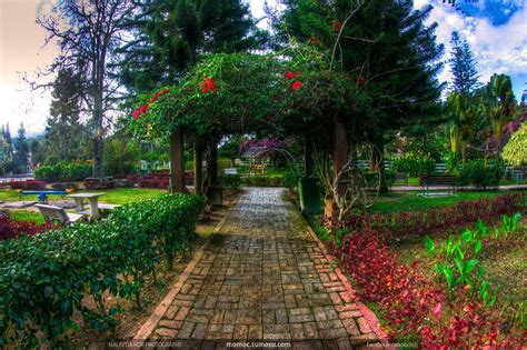 Taman City Off Jalan Kuching Steven Lewis