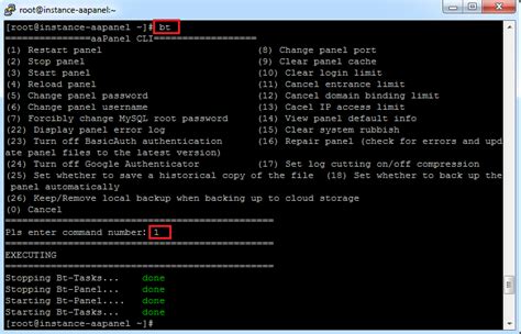 How To Secure Aapanel Dashboard Tutorialbag