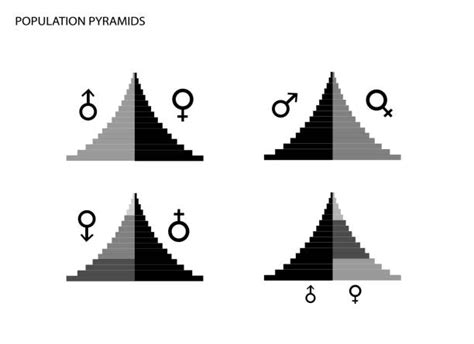 Shrinking Population Stock Vectors Istock