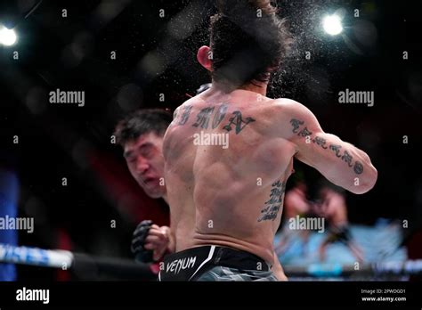 LAS VEGAS NV April 29 L R Song Yadong Punches Ricky Simon Fight