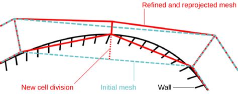 Diagram Of The Process Of Reprojecting The Mesh Along A Curved Wall
