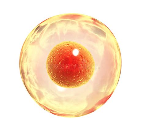 Organic Cell Structure Seamless Pattern Stock Vector Illustration Of