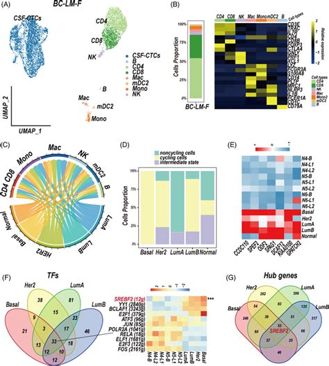 The Characteristics Of Cerebrospinal Fluid Csf Cells Derived From One