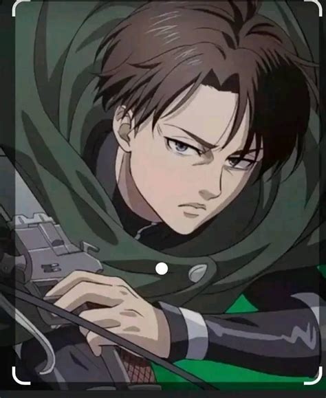 ليفاي أكرمان